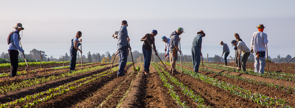 Our Team – FARMER VETERAN COALITION