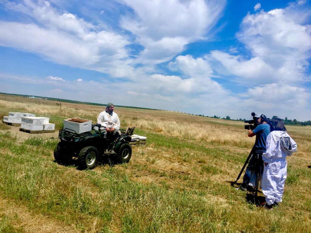 Good Day Sacramento Films at Alex Jauregui's Farm - FARMER VETERAN ...